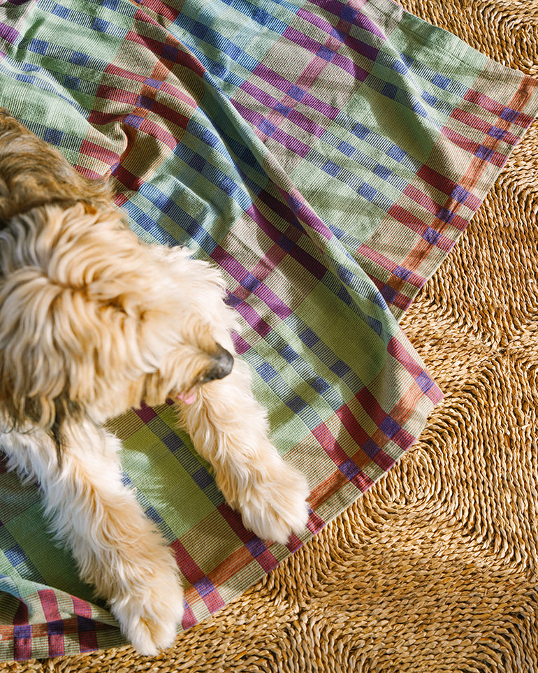 Fido Dog Blanket - Be Just